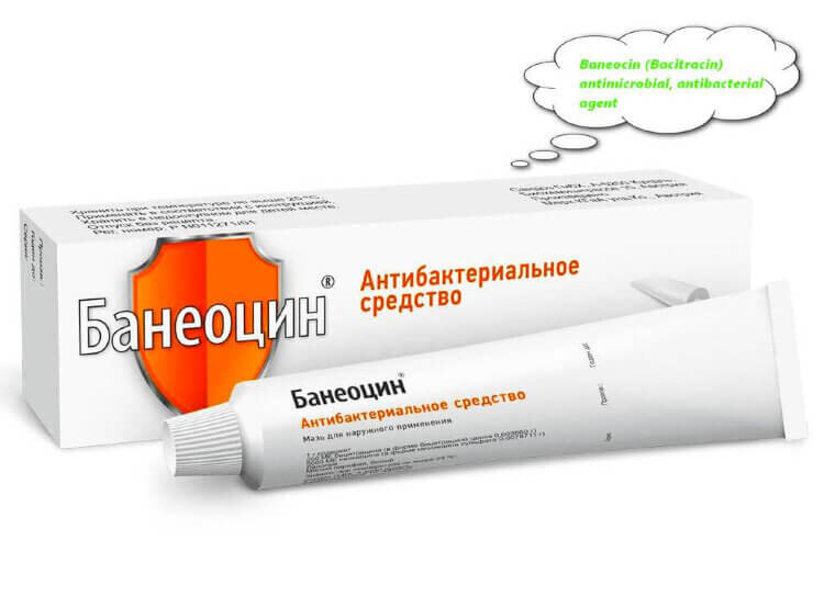 Buy Baneocin (Bacitracin) - Shopmybuy.com